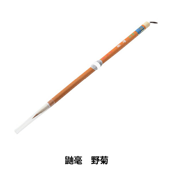 書道筆 『鼬毫 野菊』 一般細字の練習に最適 芯にイタチを使用しているので腰が強くまとまりが良い筆。 仮名や一般細字の練習に最適。 [書道用品 習字 筆 毛筆 いたち] ◆穂先サイズ:0.6cm×2.6cm ◆主原料:イタチ ※モニターによ...