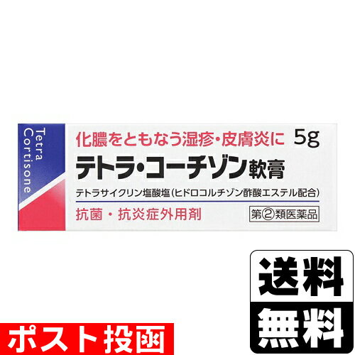 ※商品リニューアル等によりパッケージ及び容量等は変更となる場合があります。ご了承ください。【商品説明】抗生物質 テトラサイクリン塩酸塩に、副腎皮質ホルモン剤のヒドロコルチゾン酢酸エステルを配合した軟膏です。【成分・分量】1g中[成分・・・分...