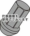 注意）商品名にpcと記載の数量は構成部品の総量を表します。例えば20pcと記載の場合、ナット16個とボルト4個の組み合わせで20pcと記載しているので必ずしもナット20個、あるいはボルト20個を表すものではございません。できるだけメーカーH...