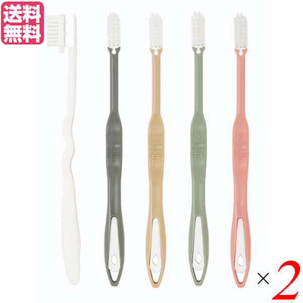 サレドミュー ハニカム本体セット（レギュラー替ブラシ2ヶ付）はブラシだけ交換できるエコな歯ブラシです。 プラスチックごみ大幅削減で社会に貢献。 六角形ブラシ（ハニカムブラシ）は毛先と側面の角で汚れを効率良く落とします。 本体カラーは5色。 ...