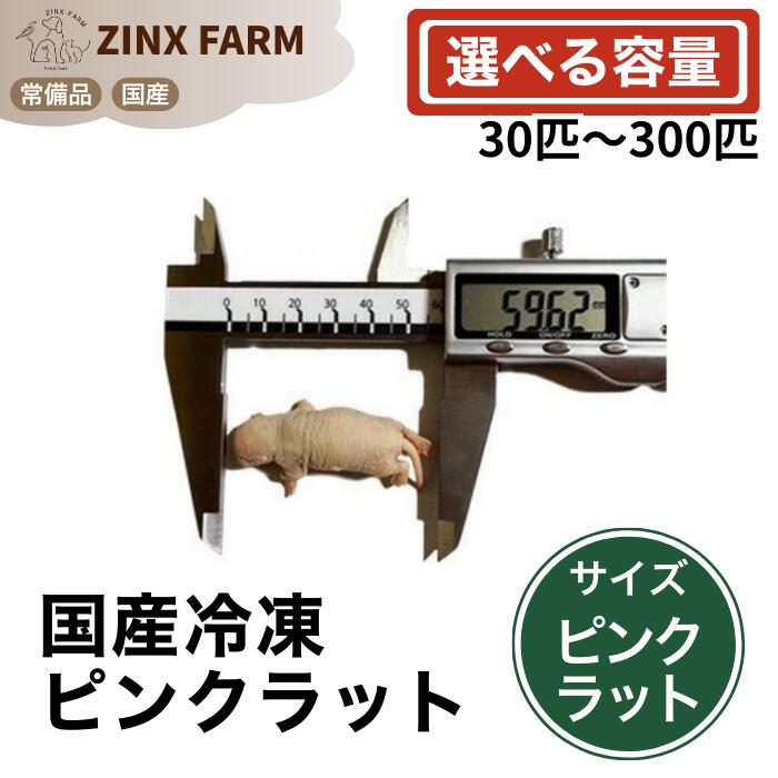 自家繁殖の冷凍ピンクラットです。 餌はオリエンタル酵母のNMFをメインに葉野菜をあげています。 取り出してすぐに急速冷凍にかけていますので新鮮です。 佐川急便のクール便での発送となります。 冷凍前の計測なので少しのずれはあるかもしれませんの...