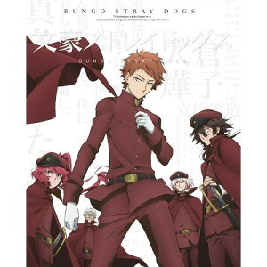 文豪ストレイドッグス 第20巻TVアニメ朝霧カフカ、春河35、上村祐翔、宮野真守、細谷佳正、神谷浩史、新井伸浩、岩崎琢　発売日 : 2023年6月28日　種別 : DVD　JAN : 4988111663931　商品番号 : KABA-11294