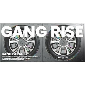 GANG RISE (初回生産限定盤/完全盤)GANG PARADEギャングパレード ぎゃんぐぱれーど　発売日 : 2025年6月18日　種別 : CD　JAN : 4943674403493　商品番号 : WPCL-13637【商品紹介】...